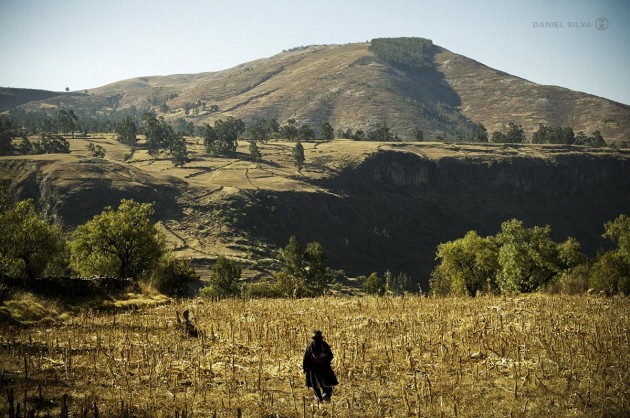 The Lost Sounds of the Andes: Reviving Indigenous Music in the Digital ...