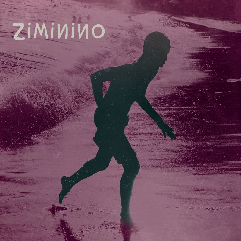 Ziminino Shows Essence of Afro-Brazilian Culture on Self-titled Debut ...