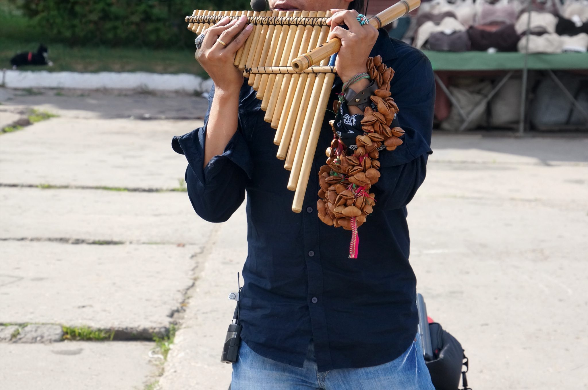 9 Musical Instruments From Latin America You Should Begin To Learn ...