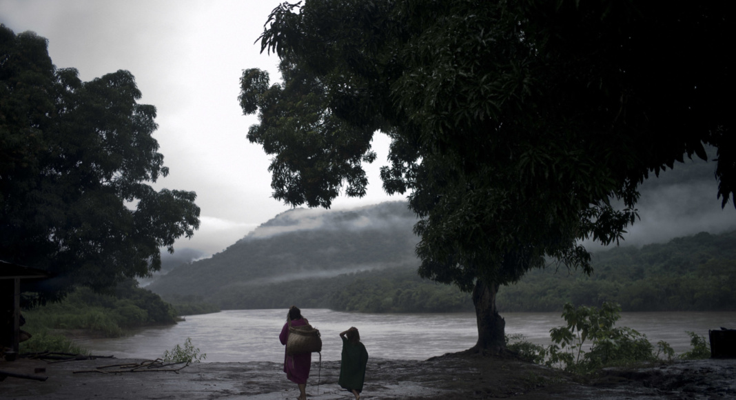 The Rights of Nature Movement | Sounds and Colours