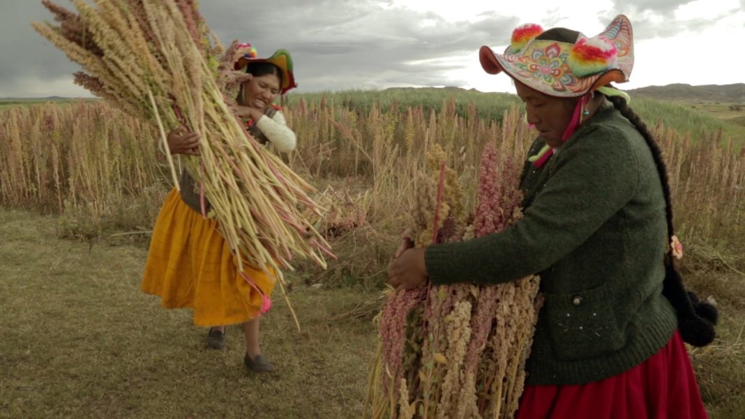 Peruvian Documentary Explores Quechua Culture and Climate Change ...