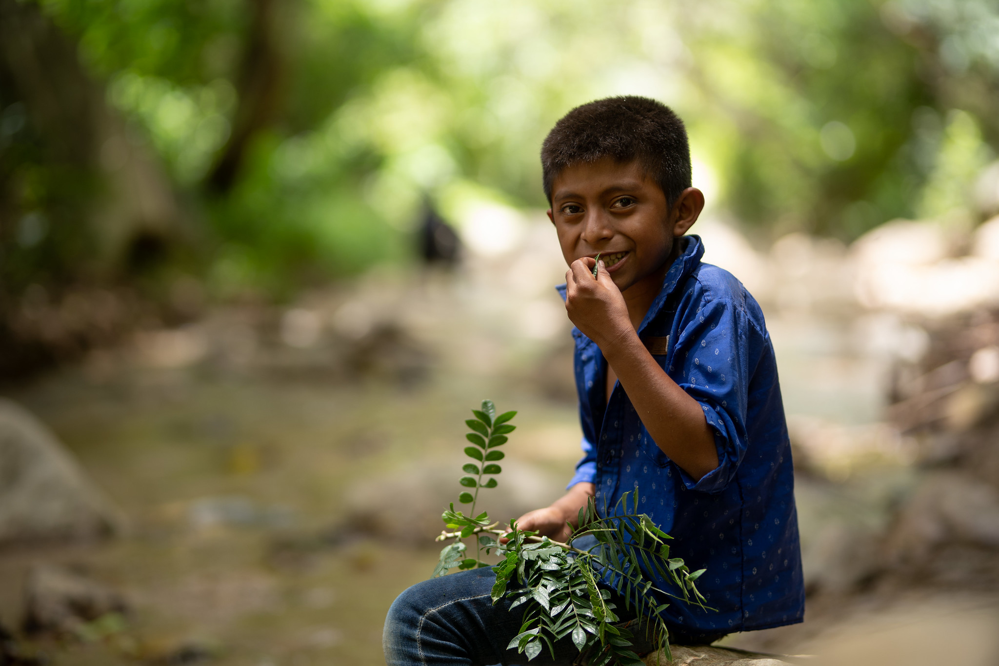 ‘So Many Have Gone’: Storms and Drought Drive Guatemalans to the US ...