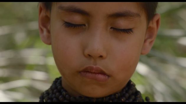‘Eami’ Highlights the Devastation of the Ayoreo Indigenous Communities ...