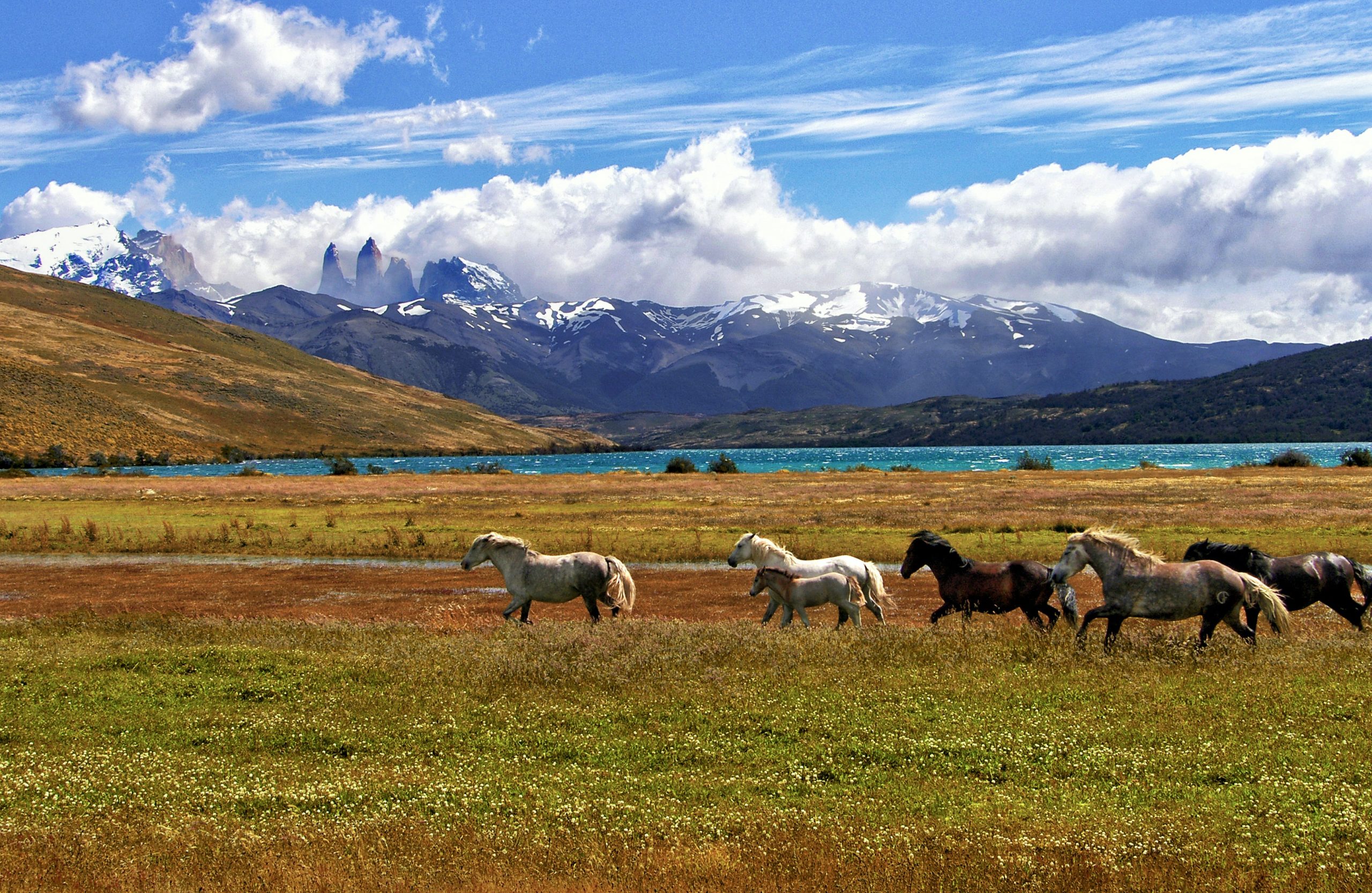 A Guide to Visiting Patagonia | Sounds and Colours