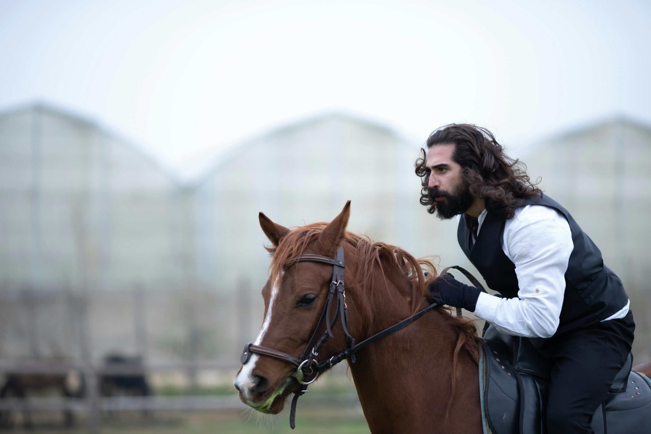 4 Reasons to Watch Horse Racing Films in Mexico | Sounds and Colours