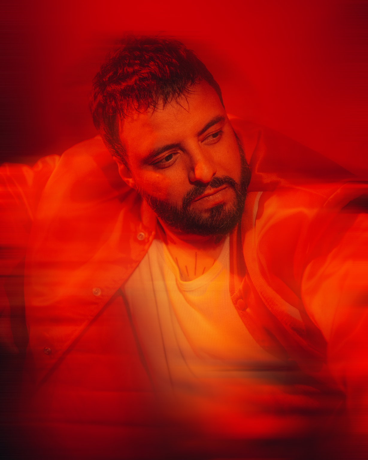 Animal magnetism: An interview with Animal Invisível | Sounds and Colours